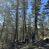 Coon Hollow Loop, South Dakota - 1,341 Reviews, Map | AllTrails