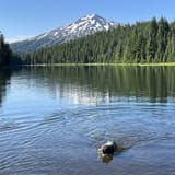 Todd Lake Loop, Oregon - 795 Reviews, Map | AllTrails