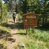 Tiffany Lake and Little Tiffany Lake, Washington - 5 Reviews, Map ...