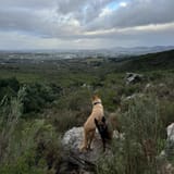Paradyskloof Waterfall, Western Cape, South Africa - 854 Reviews, Map ...