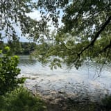 Core Arboretum Loop, West Virginia - 275 Reviews, Map | AllTrails