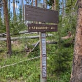 Strawberry Lake, Colorado - 1,421 Reviews, Map | AllTrails
