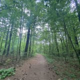 Big Berea Trail, Bull Creek Trail, and White Pine Loop, North Carolina ...