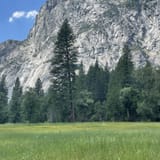 Sentinel Meadow Cook's Meadow Loop Trail, California - 3,828 Reviews ...