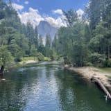 Sentinel Meadow Cook's Meadow Loop Trail, California - 3,828 Reviews ...