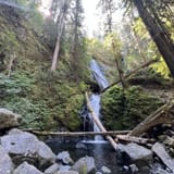 Murhut Falls Trail, Washington - 989 Reviews, Map | AllTrails