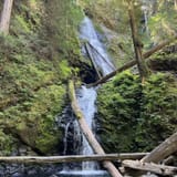 Murhut Falls Trail, Washington - 989 Reviews, Map | AllTrails