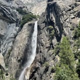 Sentinel Meadow Cook's Meadow Loop Trail, California - 3,828 Reviews ...