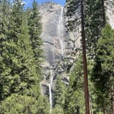 Sentinel Meadow Cook's Meadow Loop Trail, California - 3,712 Reviews ...