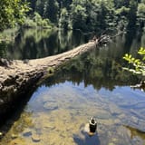 Fragrance Lake Trail, Washington - 3,180 Reviews, Map | AllTrails