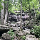Tri-State Peak Trail, Tennessee - 1,022 Reviews, Map | AllTrails