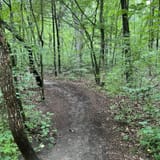 Aman Park Loop, Michigan - 1,677 Reviews, Map | AllTrails