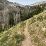 Baker Lake Trail, Idaho - 435 Reviews, Map | AllTrails