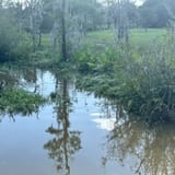 George Bush Hike and Bike Trail, Texas - 1,382 Reviews, Map | AllTrails