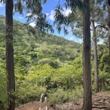 Makiki Valley Loop, Oahu, Hawaii - 6,111 Reviews, Map | AllTrails