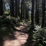 The Knoll Loop, Oregon - 3,393 Reviews, Map | AllTrails