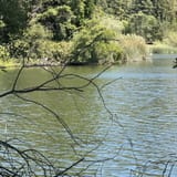 Spring Lake Loop, California - 1,624 Reviews, Map | AllTrails