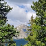 Fredonia Gulch Trail, Colorado - 335 Reviews, Map | AllTrails