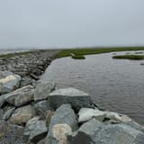 Salt Marsh Trail, Nova Scotia, Canada - 829 Reviews, Map | AllTrails