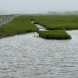 Salt Marsh Trail, Nova Scotia, Canada - 829 Reviews, Map | AllTrails