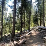 Hidden Lake Trail, Washington - 731 Reviews, Map | AllTrails