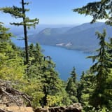 Mount Ellinor Trail, Washington - 2,790 Reviews, Map | AllTrails