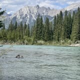 Bow River Loop, Alberta, Canada - 1,750 Reviews, Map | AllTrails