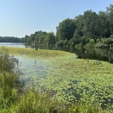 Leaser Lake Trail, Pennsylvania - 666 Reviews, Map | AllTrails