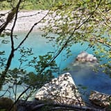 Baker River Trail, Washington - 237 Reviews, Map | AllTrails