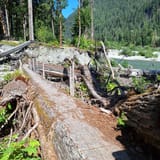 Baker River Trail, Washington - 237 Reviews, Map | AllTrails