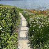 Lake Geneva Shore Path, Wisconsin - 732 Reviews, Map | AllTrails
