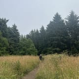 The Knoll Loop, Oregon - 3,417 Reviews, Map | AllTrails