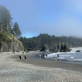 Ruby Beach, Washington - 1,855 Reviews, Map | AllTrails