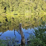 Lake Fenwick, Washington - 666 Reviews, Map | AllTrails