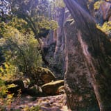 Moses Spring and Rim Trail Loop, California - 2,798 Reviews, Map ...