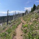 Three Fingered Jack via Pacific Crest Trail, Oregon - 437 Reviews, Map ...