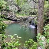 Fiery Gizzard Loop, Tennessee - 1,269 Reviews, Map | AllTrails