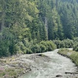 Loop Brook Trail, British Columbia, Canada - 251 Reviews, Map | AllTrails