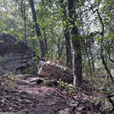 Furnas Lagoon Trail, Azores, Portugal - 516 Reviews, Map | AllTrails