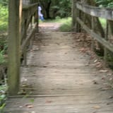 Jones Bridge Trail , Georgia - 3,157 Reviews, Map | AllTrails