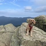 Mount Bond and Mount Guyot via Bondcliff Trail and Lincoln Woods Trail ...