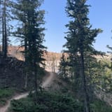 Twisted Forest, Utah - 158 Reviews, Map | AllTrails