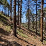 Box Spring via Box Camp Trail, Arizona - 519 Reviews, Map | AllTrails