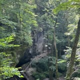 Maquoketa Caves Loop, Iowa - 1,111 Reviews, Map | AllTrails