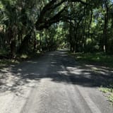 Carney Island Perimeter Loop, Florida - 231 Reviews, Map | AllTrails