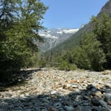 Baker River Trail, Washington - 237 Reviews, Map | AllTrails