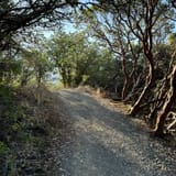 Upper Table Rock Trail, Oregon - 1,810 Reviews, Map | AllTrails