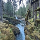 Silver Falls Loop, Washington - 3,513 Reviews, Map | AllTrails