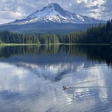 Trillium Lake Loop, Oregon - 2,494 Reviews, Map | AllTrails