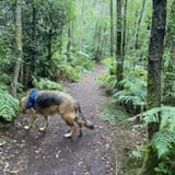 Mortimer Common Circular, Berkshire, England - 63 Reviews, Map | AllTrails